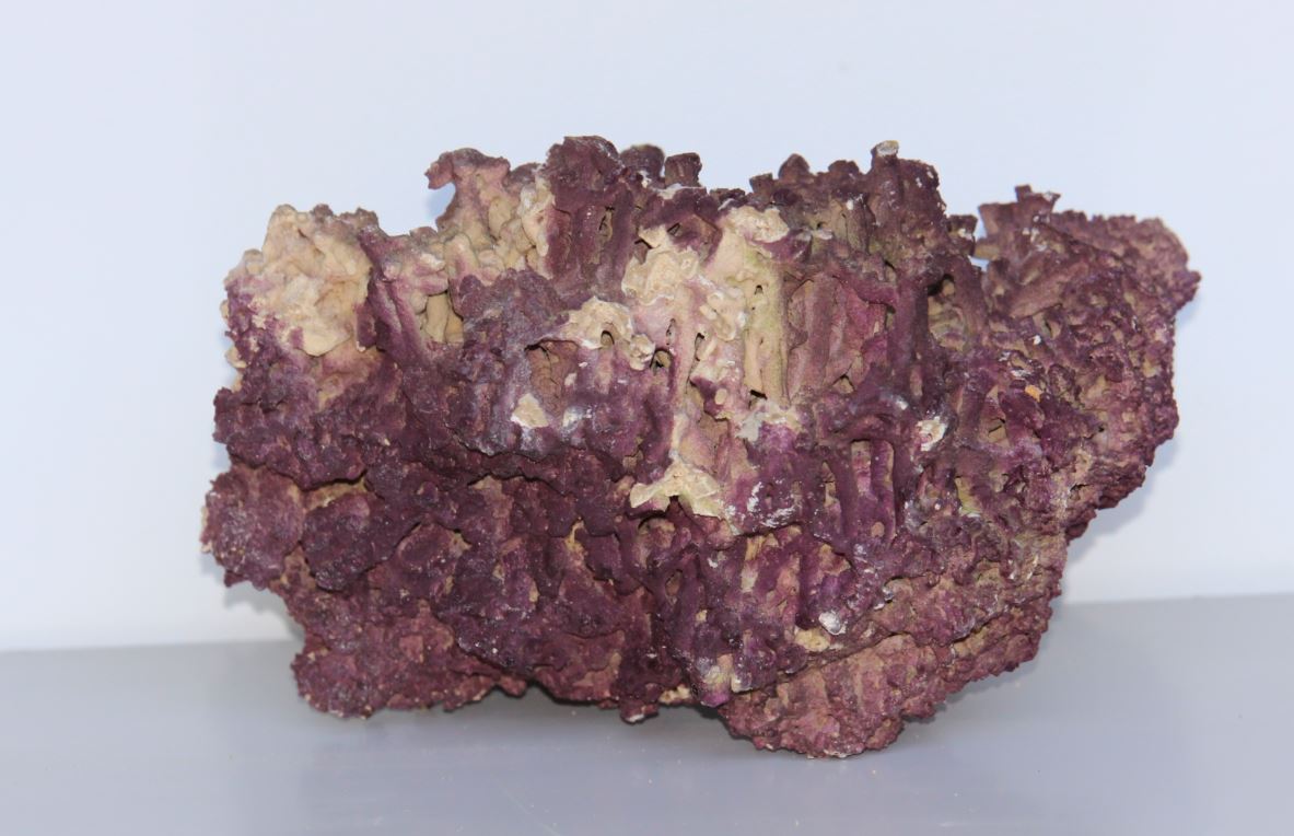 Jurassic Reef Rock die natürliche Alternative zum Lebendgestein